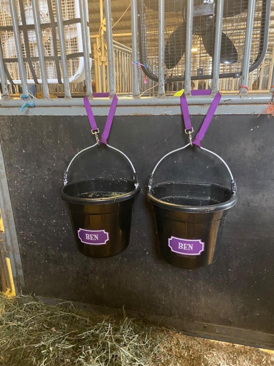 Name Plate Decals Size 4x8 Horse Bucket Labels Vinyl - Etsy