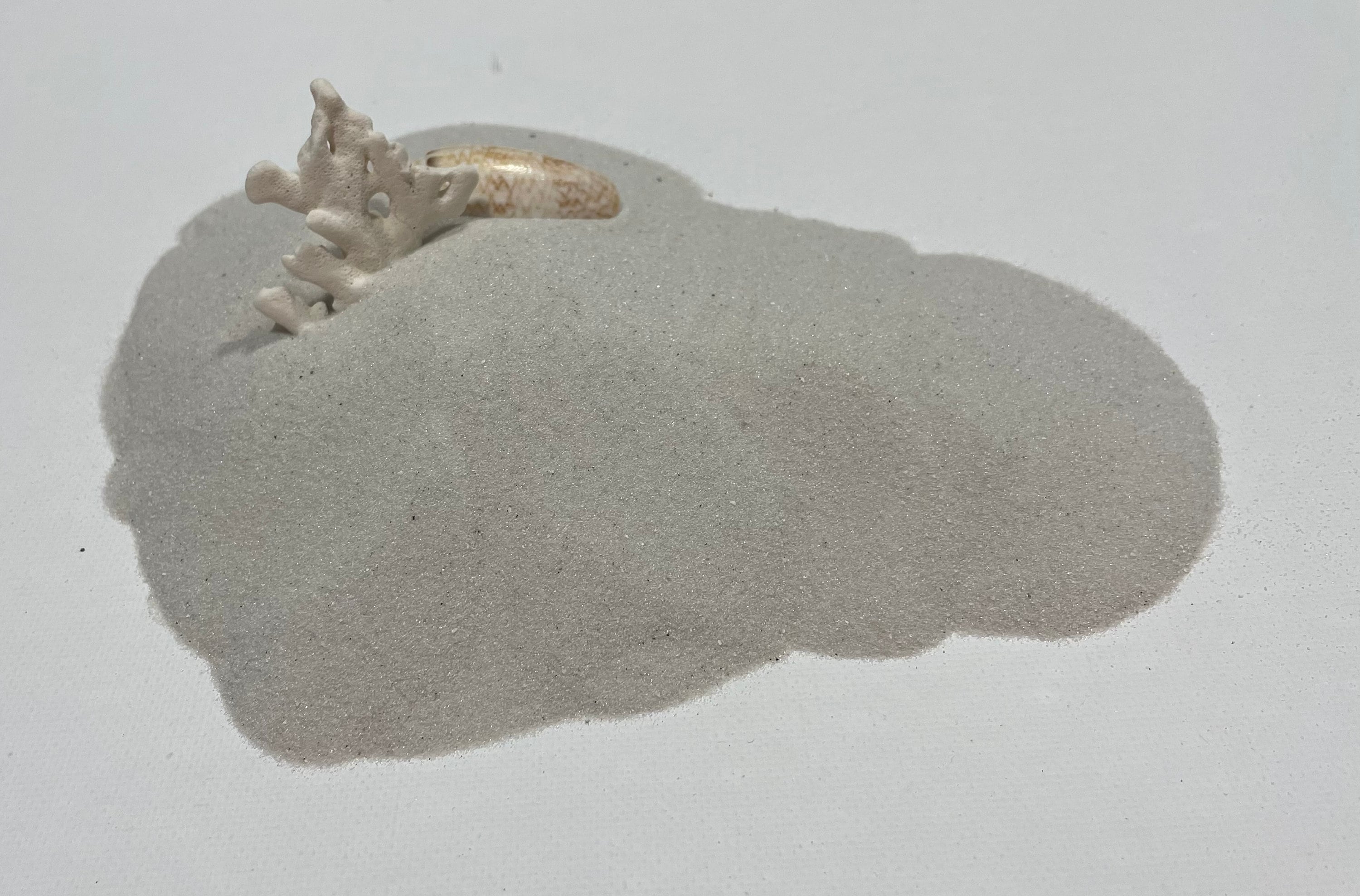 Siesta Key Beach Sand: Natural Quartz for Art & Decor (16 Oz) - Etsy