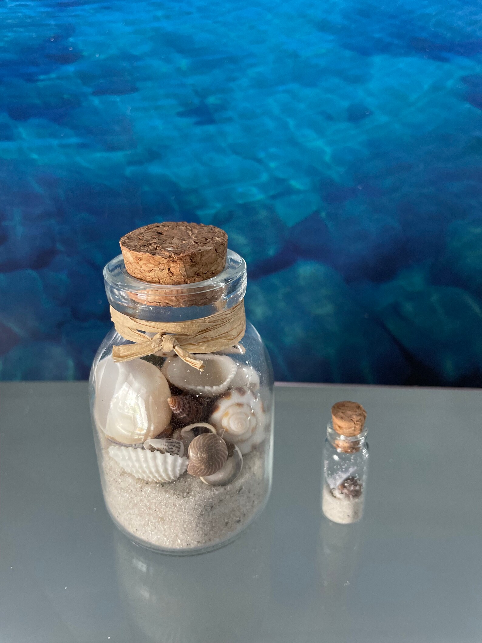 Ocean Shells. 2 Glass Bottles With Florida Sand and Seashells. Shells ...