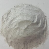 Ocean Seashells. Beach Seashells Seashells Candles. Marine Aquarium ...