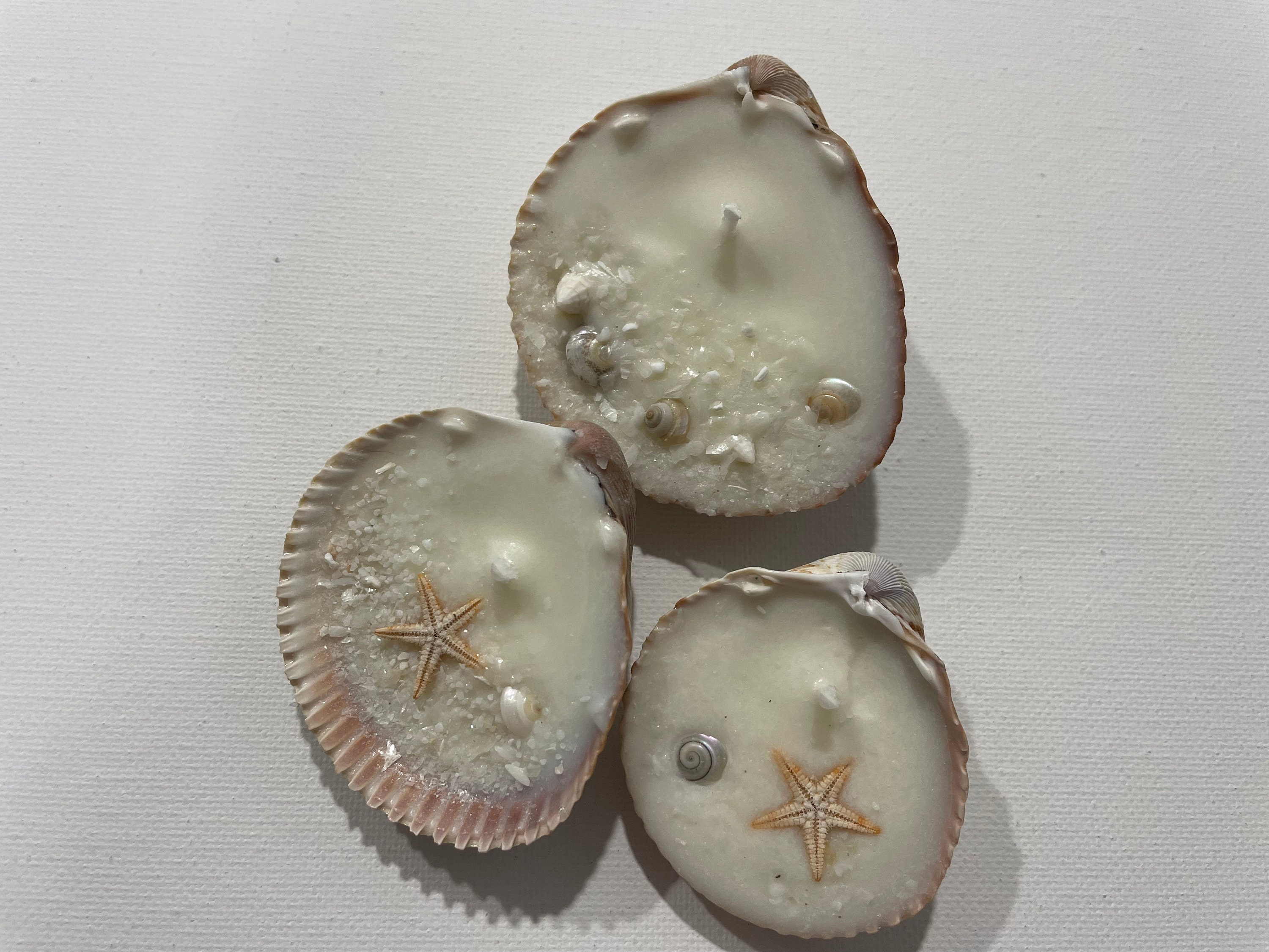 3 Seashell Candles Gift for Family Decoration Gift Christmas Scented ...