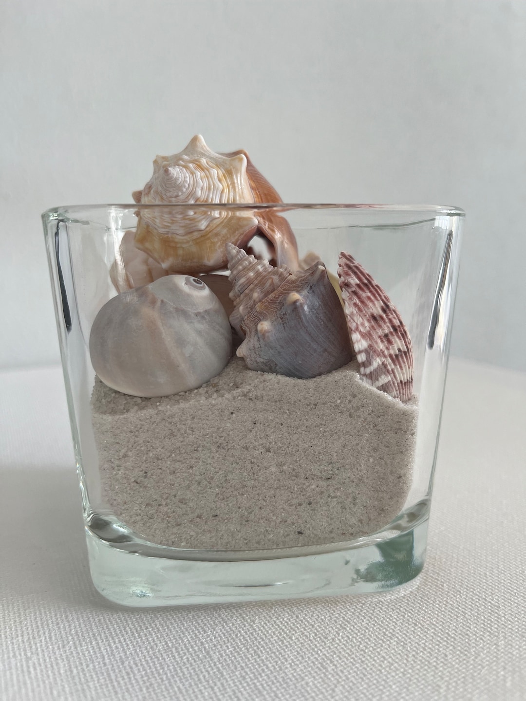 Souvenir With Beach Shells.marco Island Sand Natural Sand - Florida ...