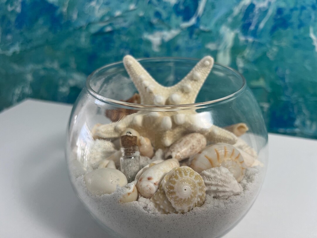 Sand Beach Siesta Key Tropical Beach Glass Vase Beach Shell Souvenir ...
