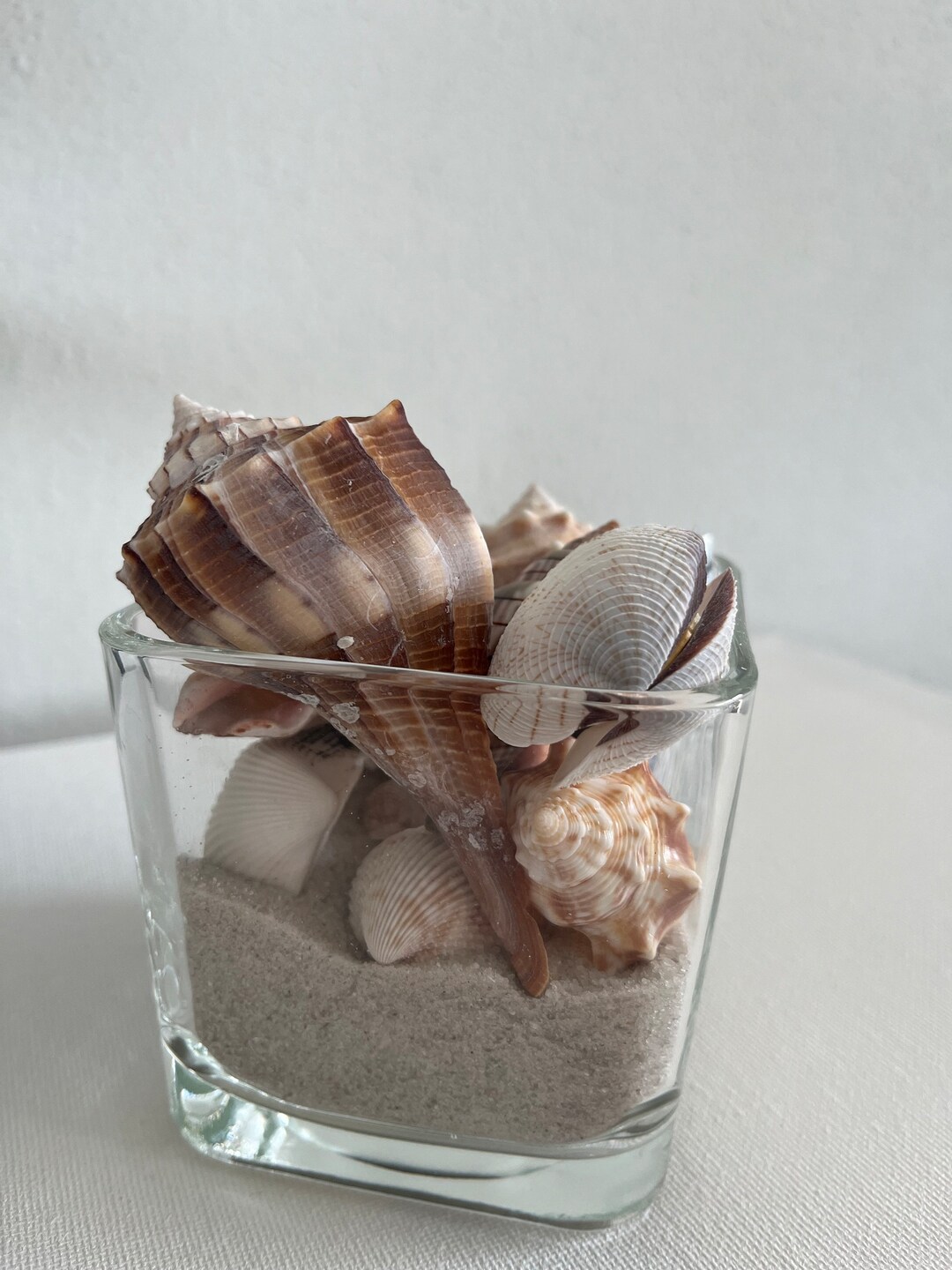 Souvenir With Beach Shells.marco Island Sand Natural Sand - Florida ...