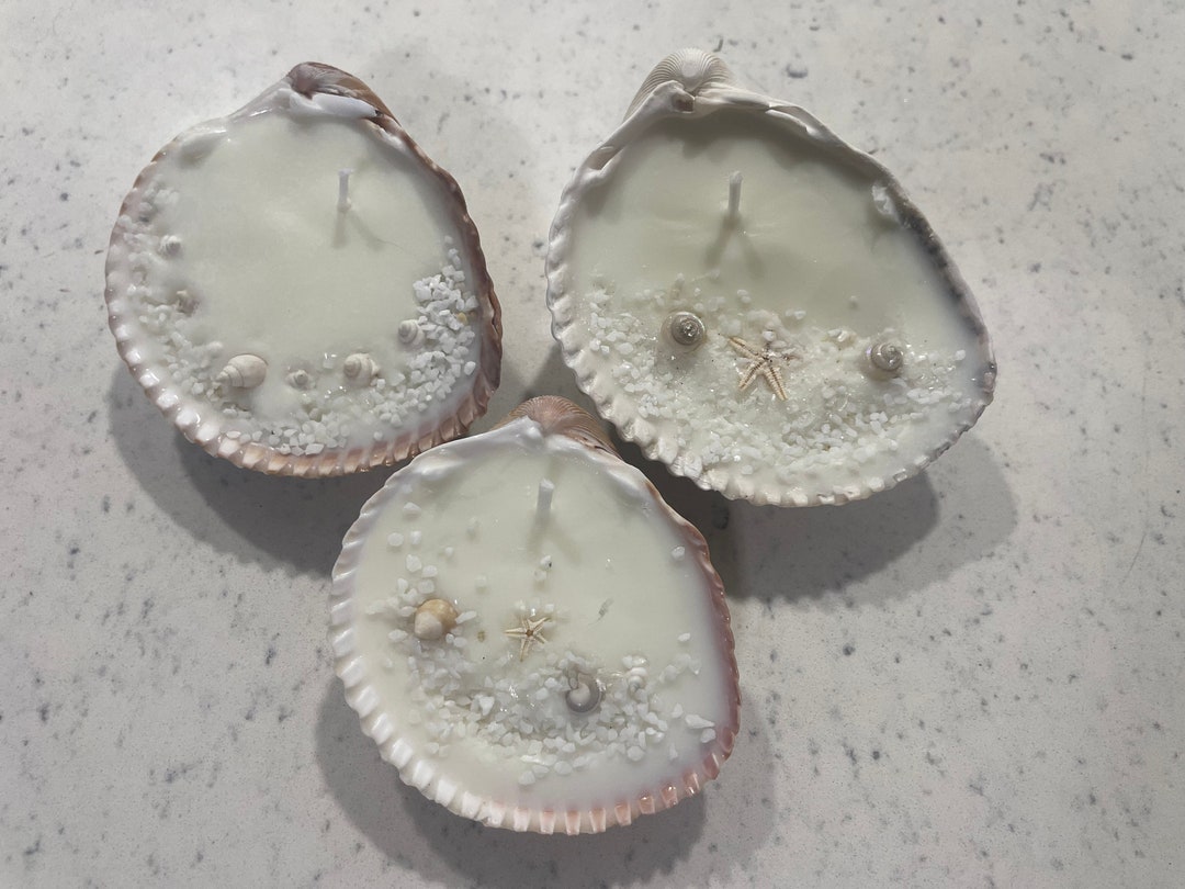 3 Seashell Candles. Shell Candles. DIY Shell Candles, Candles, Home ...