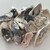 Natural Sea Coral Collection. Florida Beach Sand. Beach Coral . Natural ...