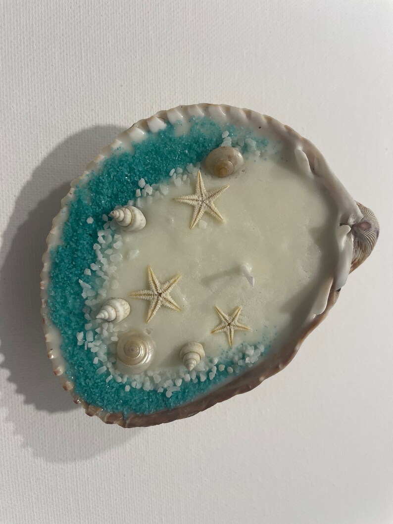 Large Shell Candles. Sea Gift DIY Shell Candles Candles Home - Etsy