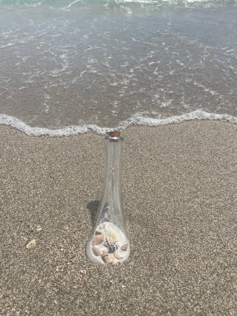 Ocean Shells. Message in a Bottle. Beach Shells. Home Decor. - Etsy