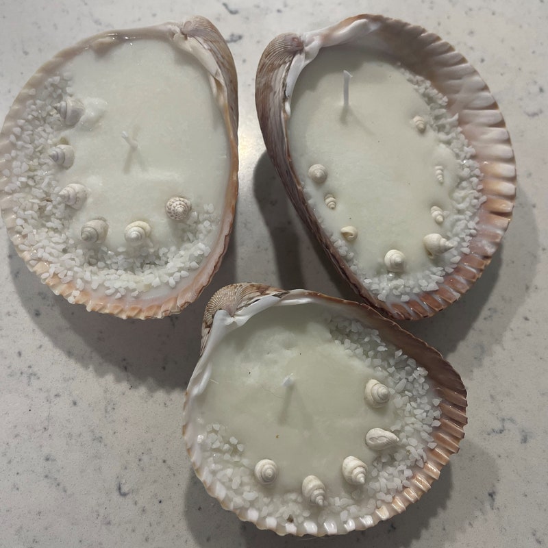 Seashell Candle - Etsy