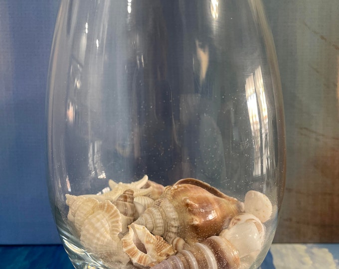 Coastal Beach Decor – Siesta Key Sand & Seashell Glass Vase, Home Decor ...