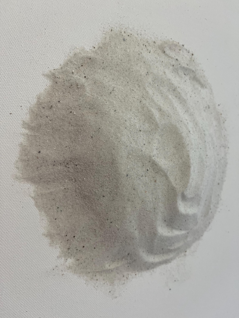 Anna Maria Island Beach Sand: Natural Florida Sand for Home Decor (16 ...