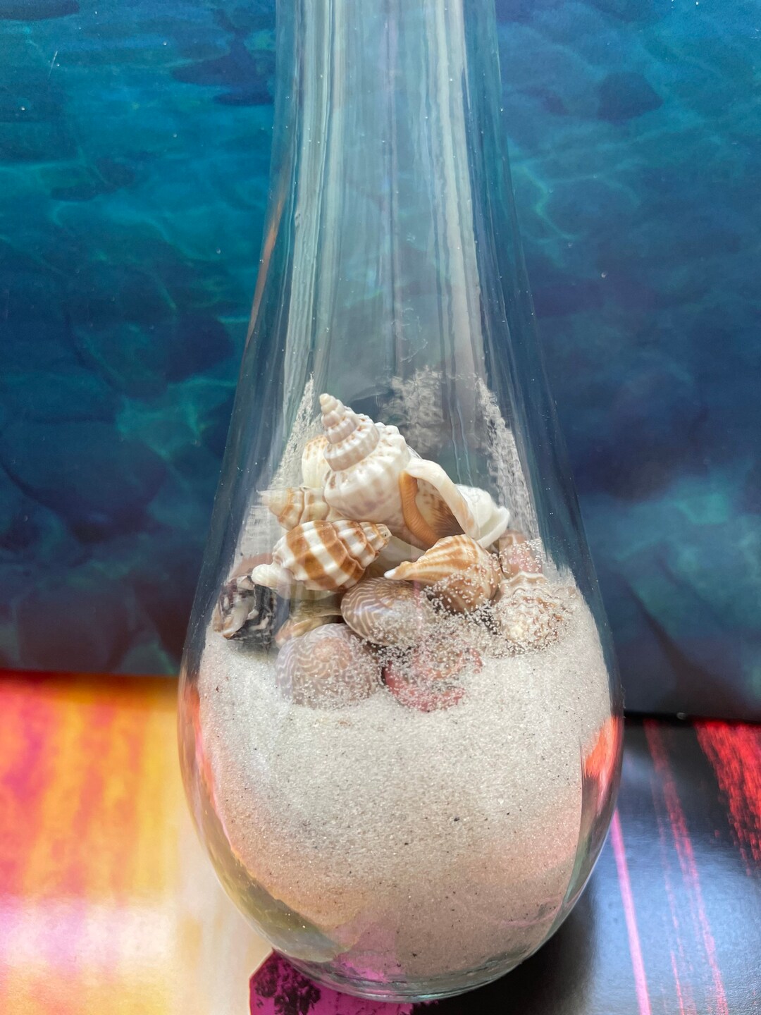 Ocean Shells. Message in a Bottle. Beach Shells. Home Decor. Souvenir ...