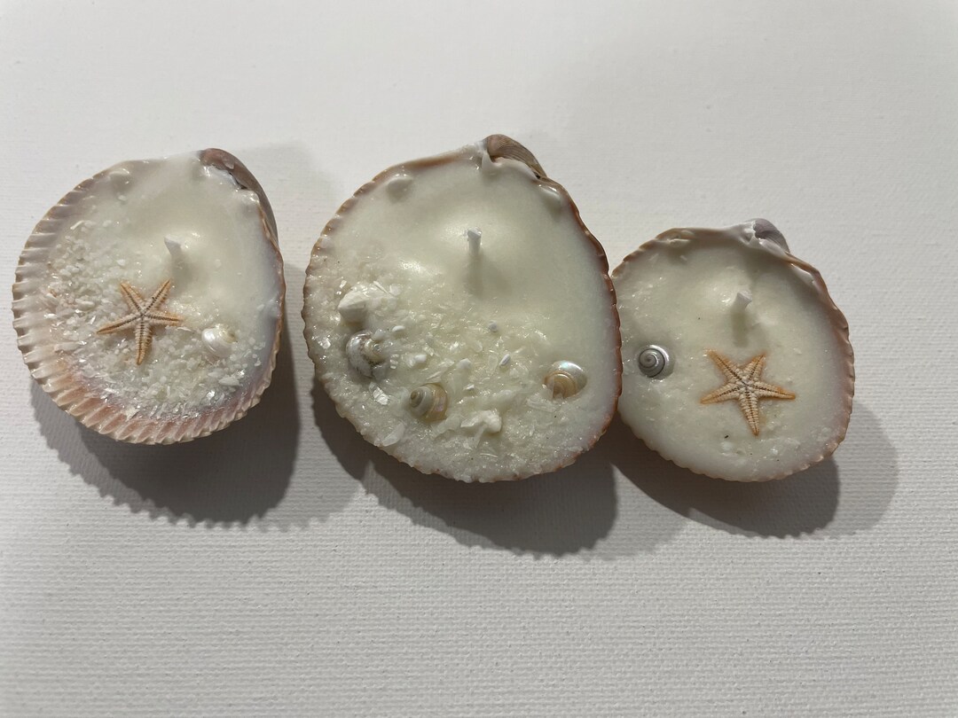 3 Seashell Candles Gift for Family Decoration Gift Christmas Scented ...