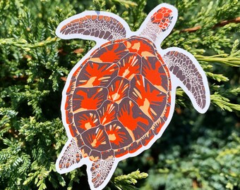 Turtle Hydro Flask - Etsy