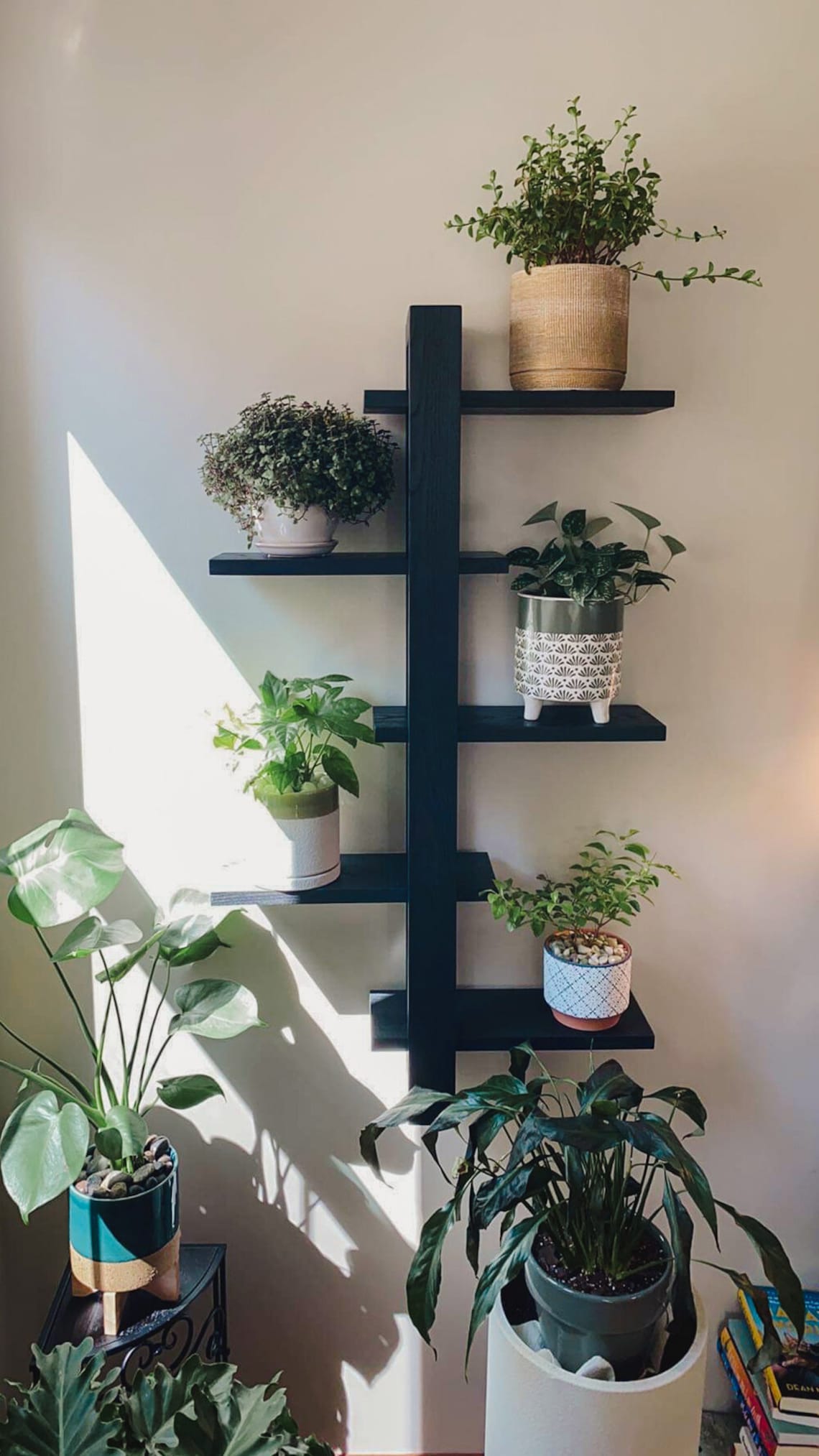 Decorative Floating Shelves Floating Plant Shelf/shelves - Etsy