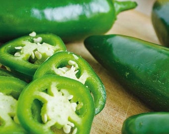 Jalapeno Pepper Seeds - Etsy