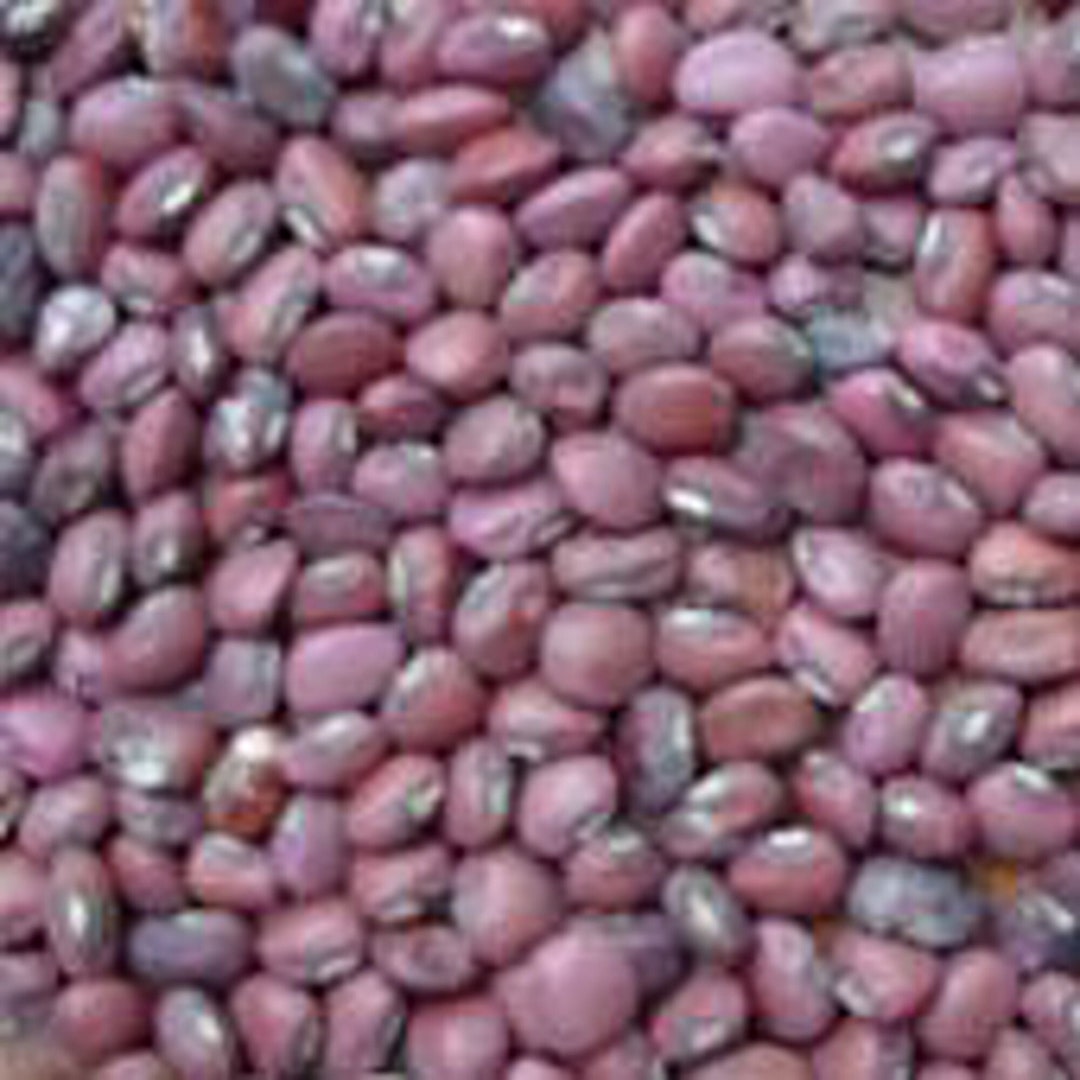 Red Ripper Cowpeas Seeds - Etsy