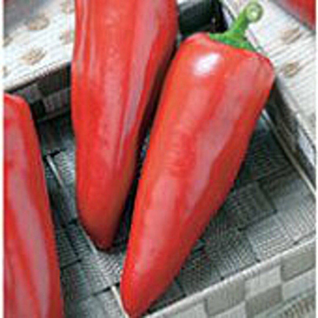 Red Crest Sweet Peppers Seeds - Etsy