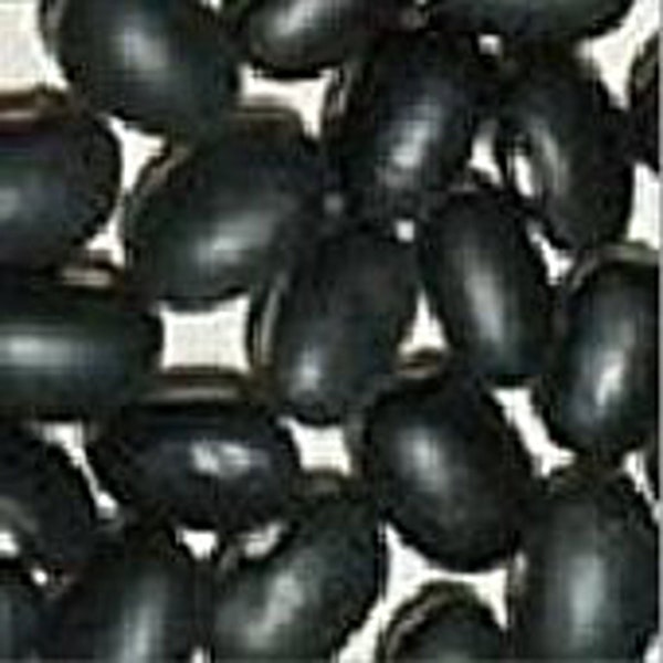 Black Turtle Beans - Etsy