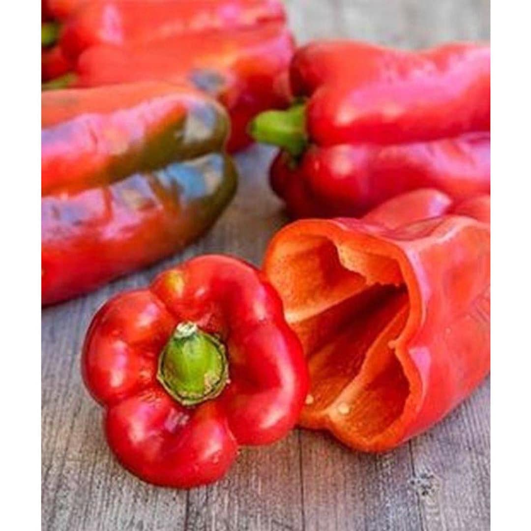 Long Red Bell Sweet Pepper Seeds - Etsy