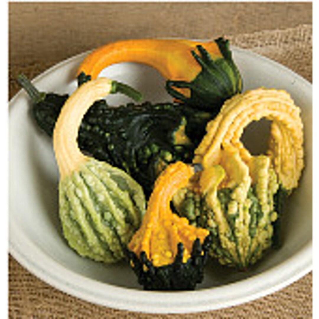 Autumn Wings Gourds medium Seeds - Etsy