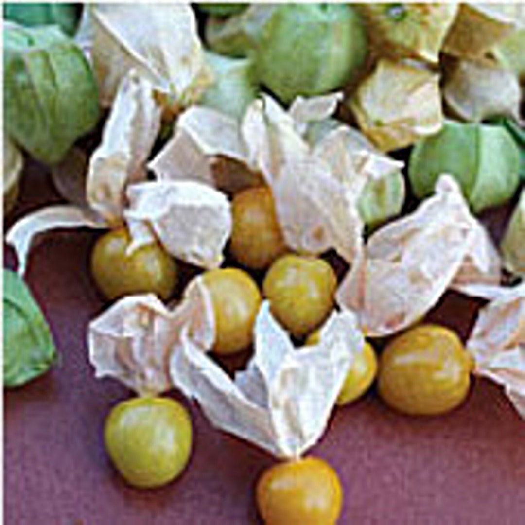 Pineapple Tomatillo Seeds - Etsy