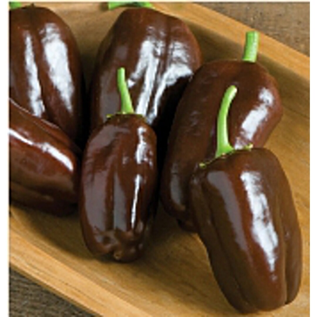 Sweet Chocolate Peppers Seeds - Etsy