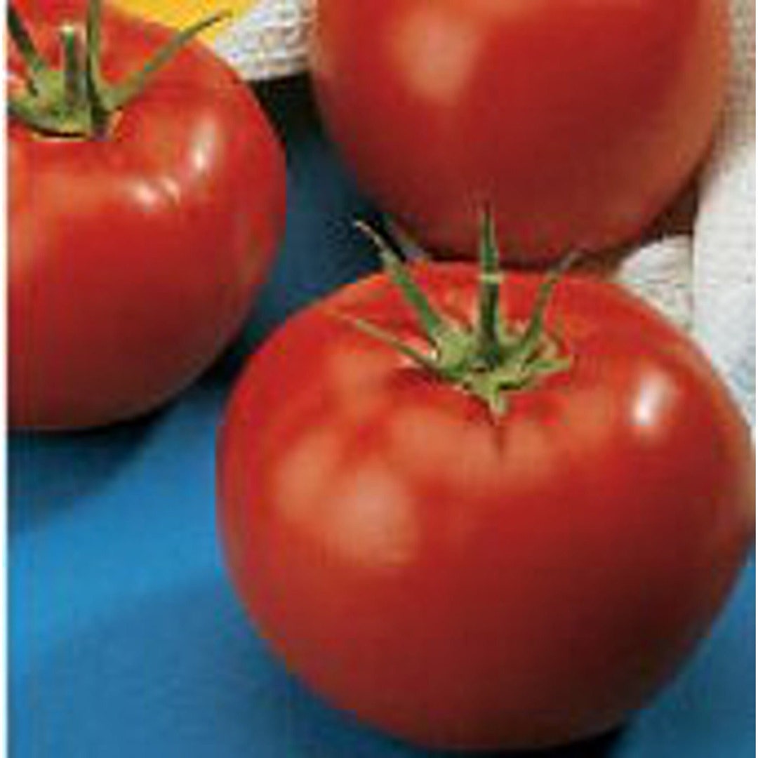 Early Pick Tomato Seeds - Etsy
