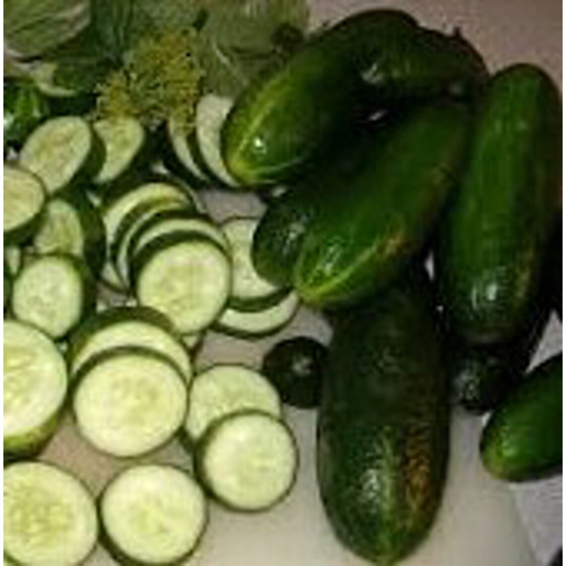 Langelang Giant Cucumbers Seeds - Etsy