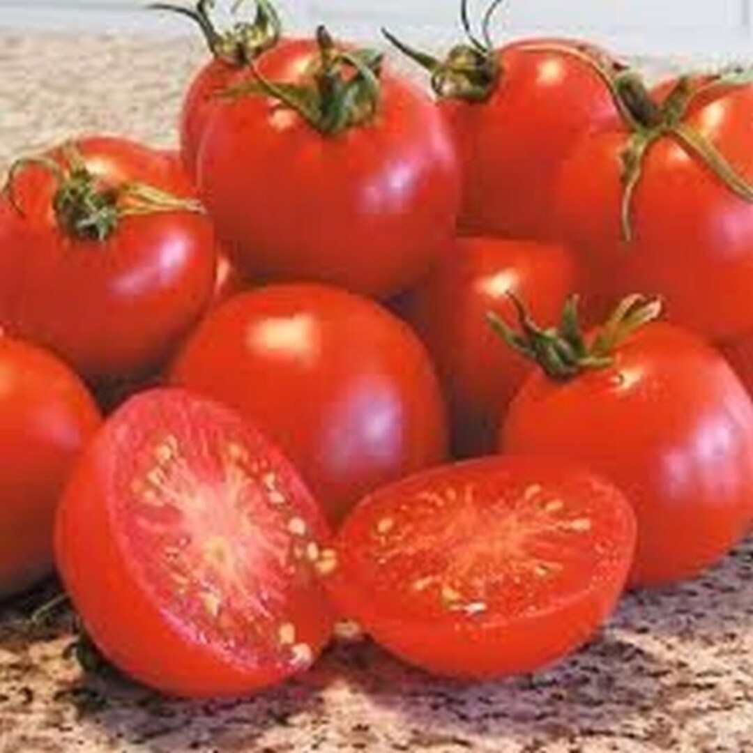 Glacier Tomato Seeds - Etsy