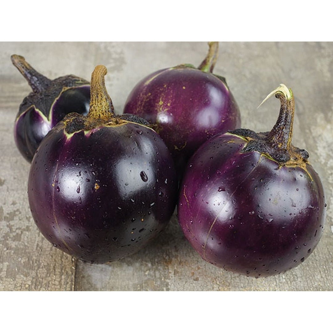 Thai Round Purple Eggplant Seeds - Etsy