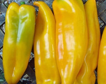 MPB11 Giant Marconi Pepper Seeds Sweet Pepper F1 Hybrid 15 - Etsy