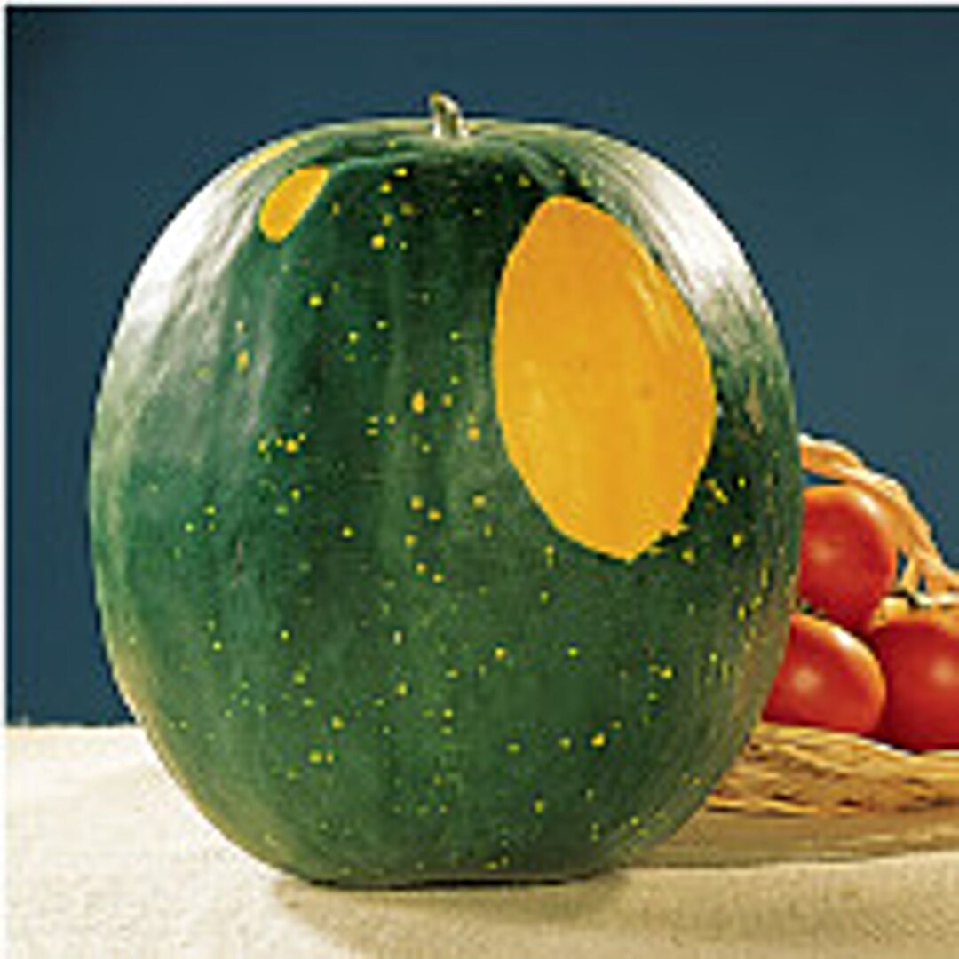 Moon & Stars Watermelons red Flesh Seeds - Etsy