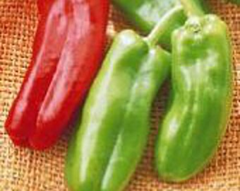 MPB11 Giant Marconi Pepper Seeds Sweet Pepper F1 Hybrid 15 Seeds up to ...