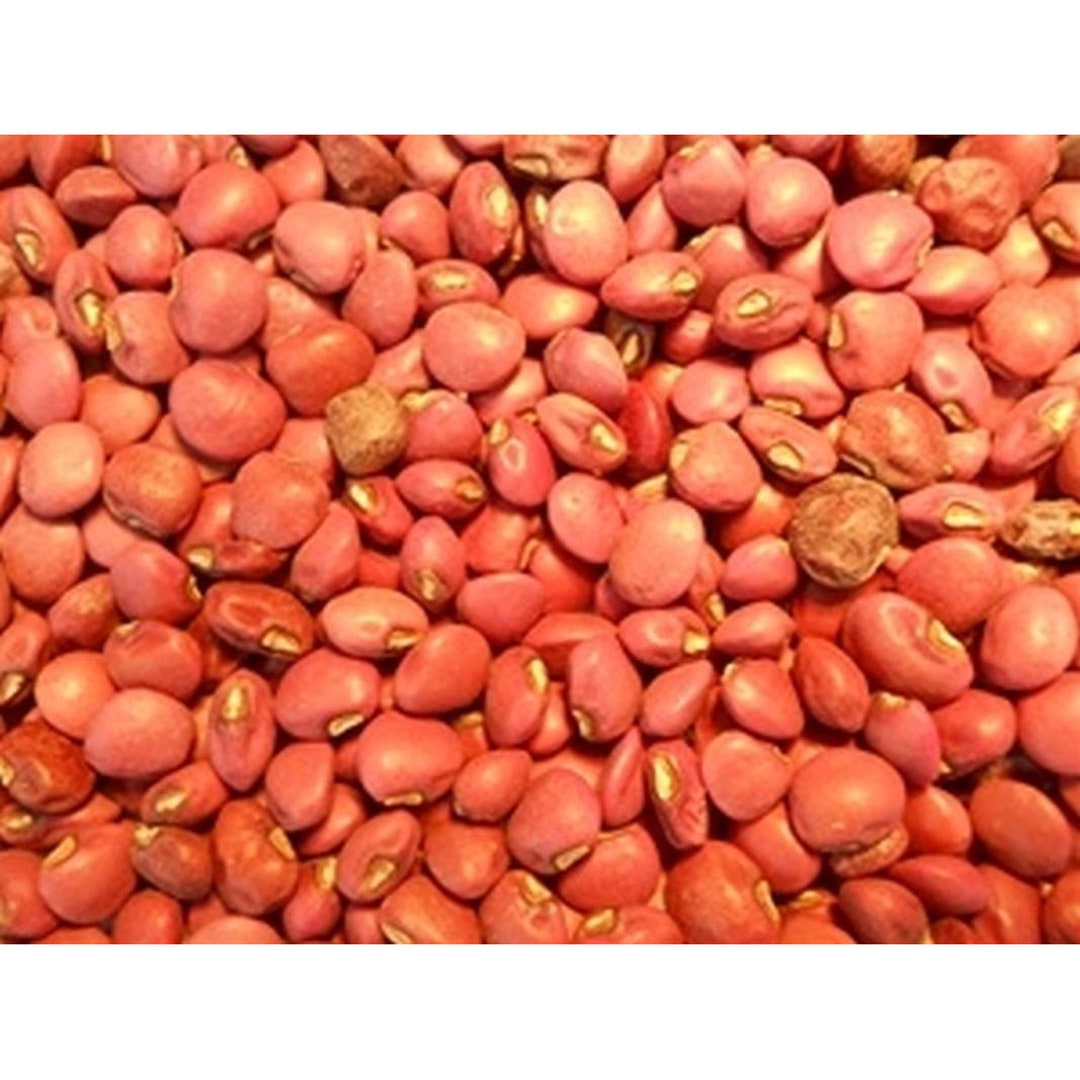 Red Ripper Cowpeas Seeds - Etsy