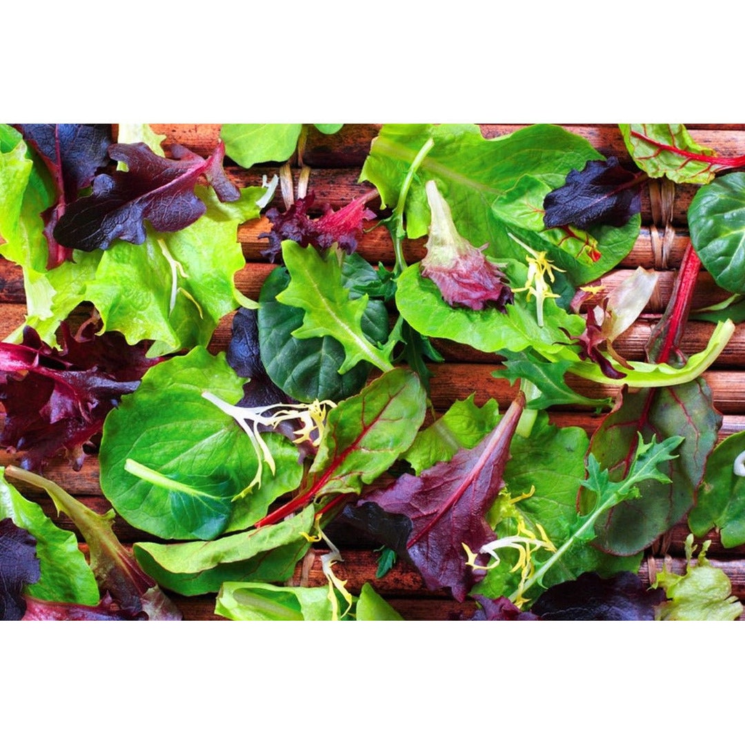 Mesclun Blend Lettuce & Greens Mix Seeds - Etsy
