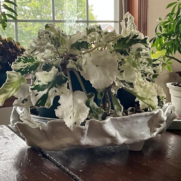 African Planters - Etsy