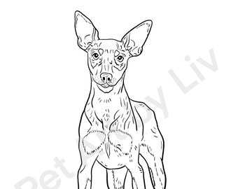 Doberman Pinscher Coloring Page - Etsy