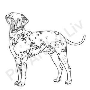 dalmation dog coloring pages