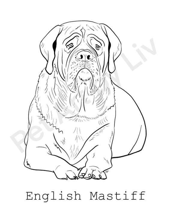 Coloring Mastiff English Pages Dog Printable Puppy Dogs Crafts Color ...