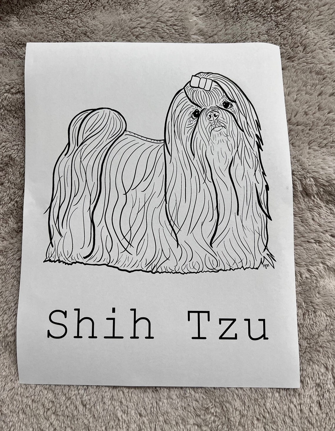 Shih Tzu Coloring Page - Etsy