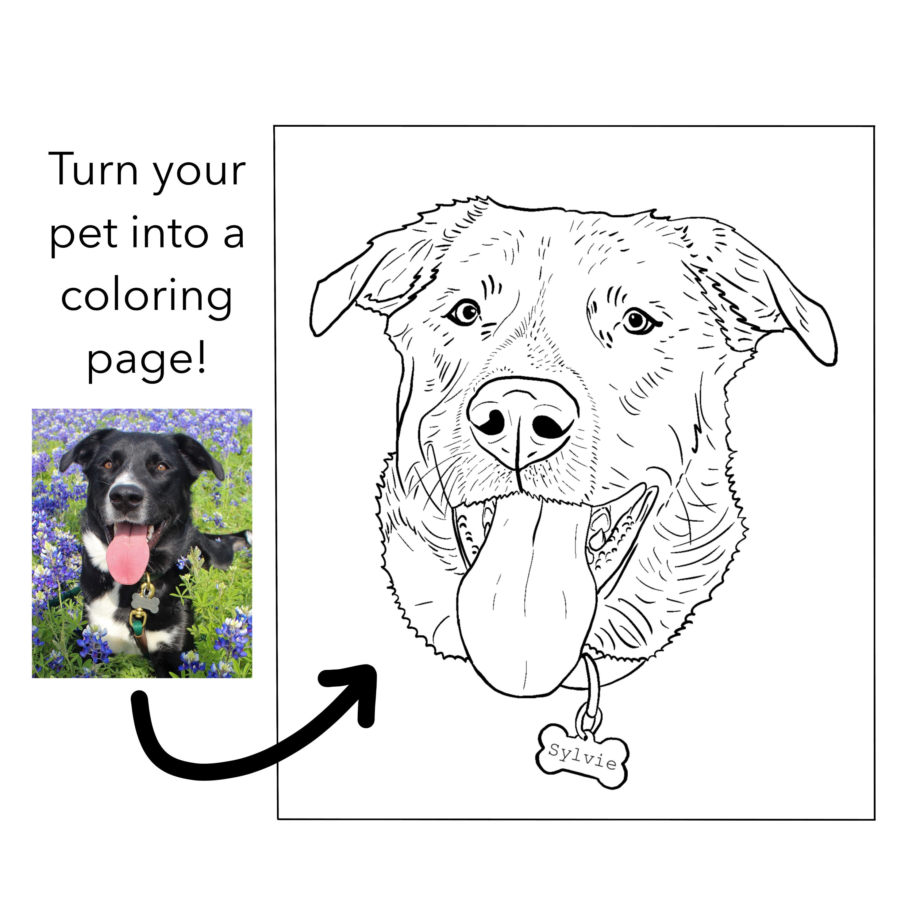 Custom Pet Coloring Page - Etsy