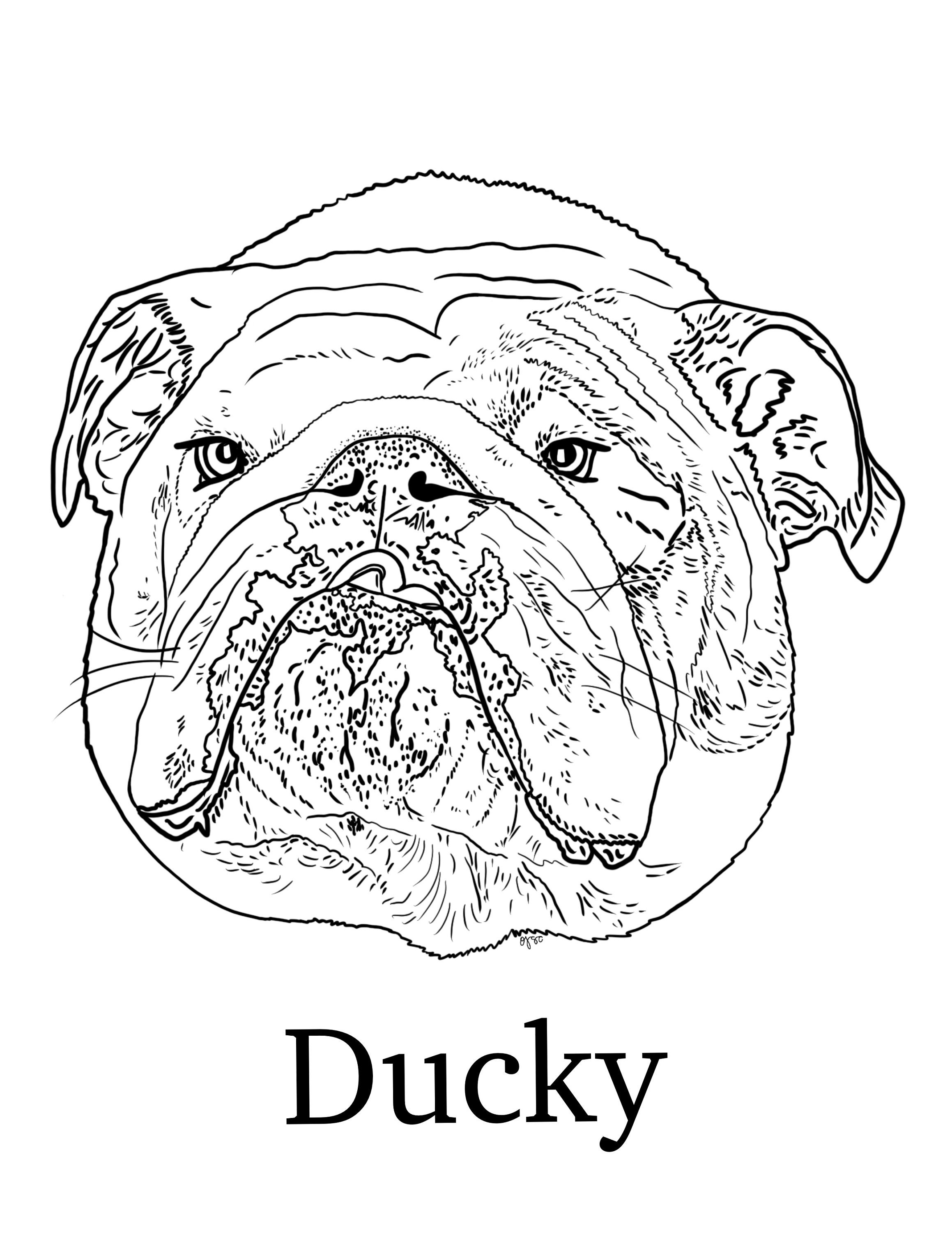 Custom Pet Coloring Page - Etsy