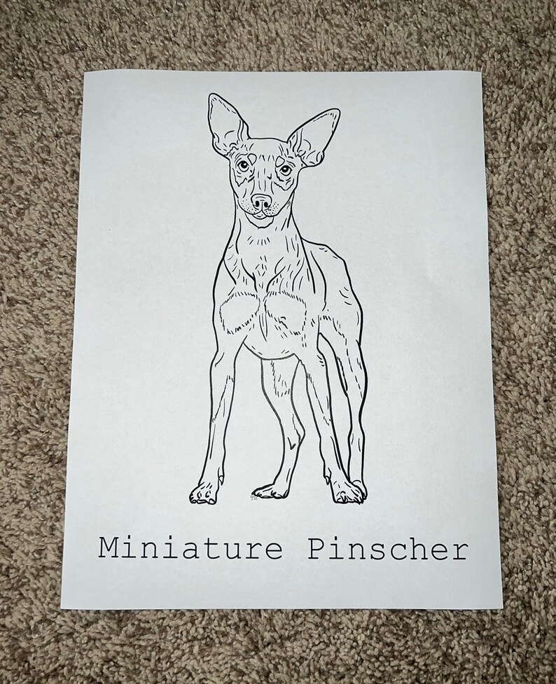Miniature Pinscher Coloring Page - Etsy