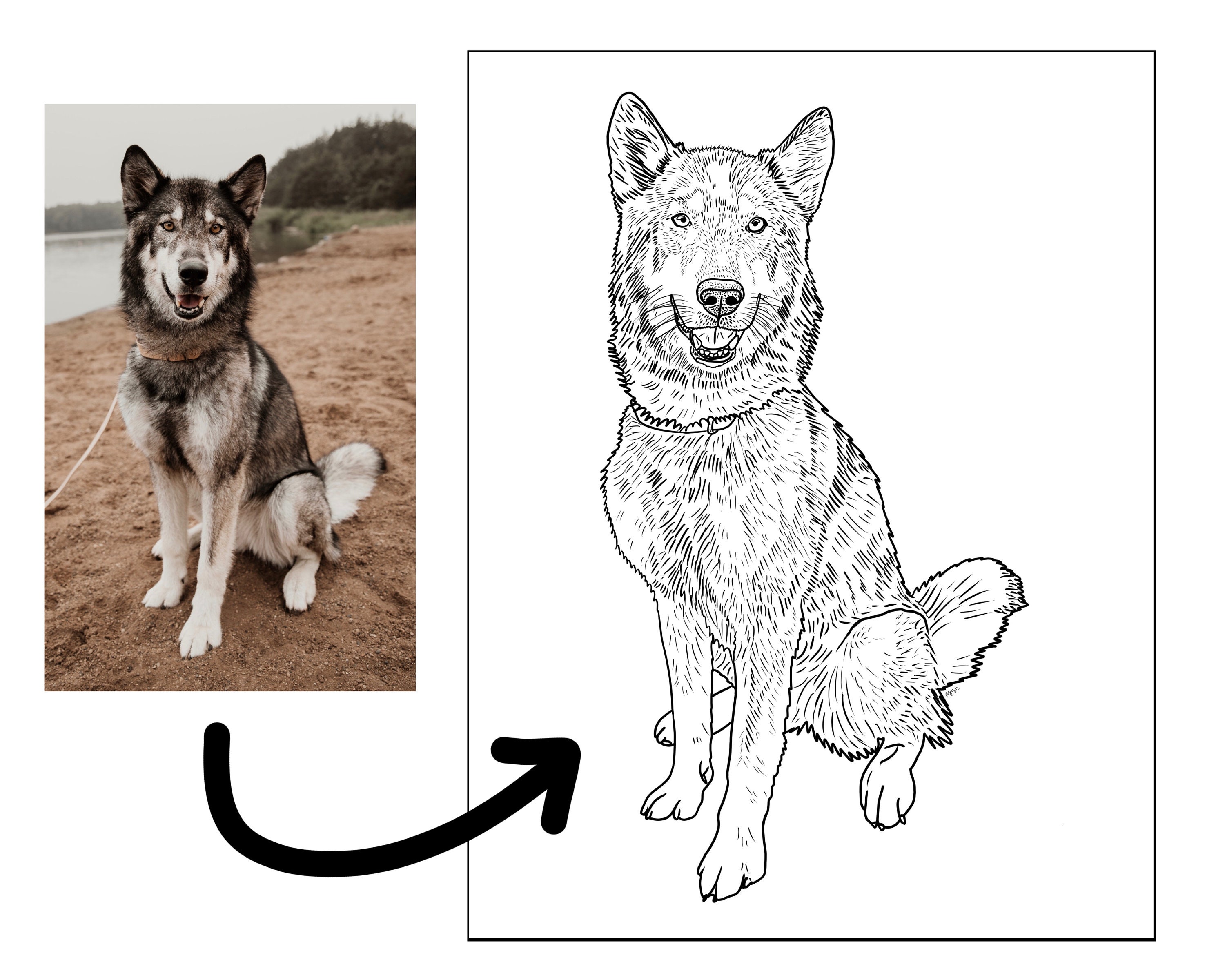 Custom Pet Coloring Page - Etsy