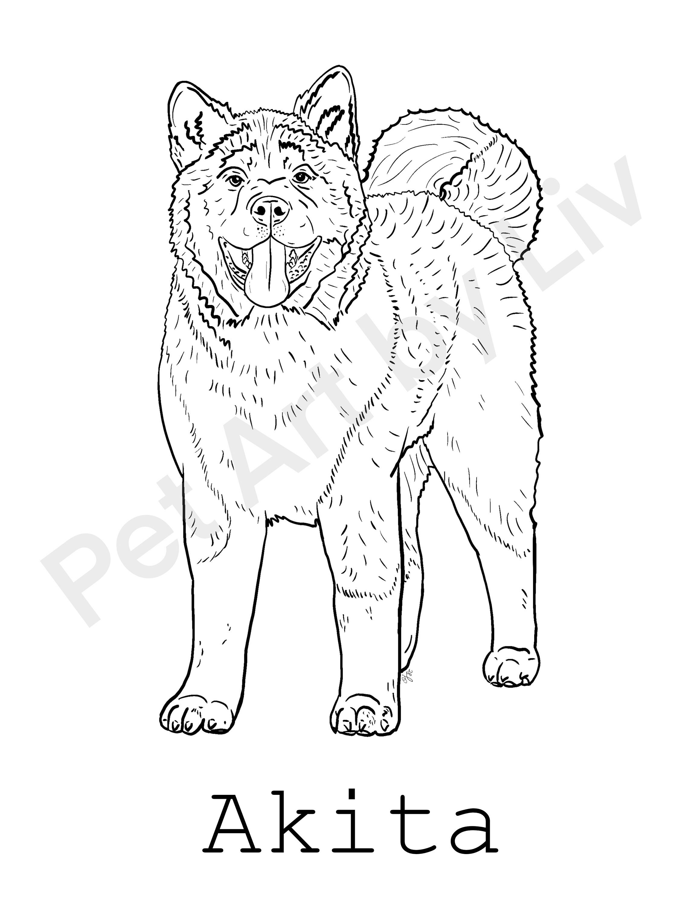 Akita Puppy Dog Drawing Sketch Coloring Page
