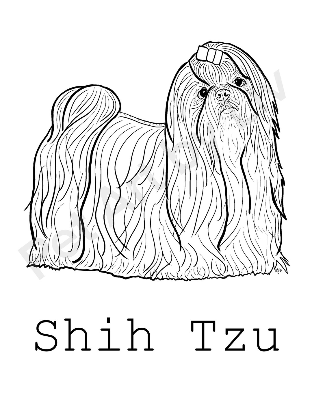 Shih Tzu Coloring Page - Etsy
