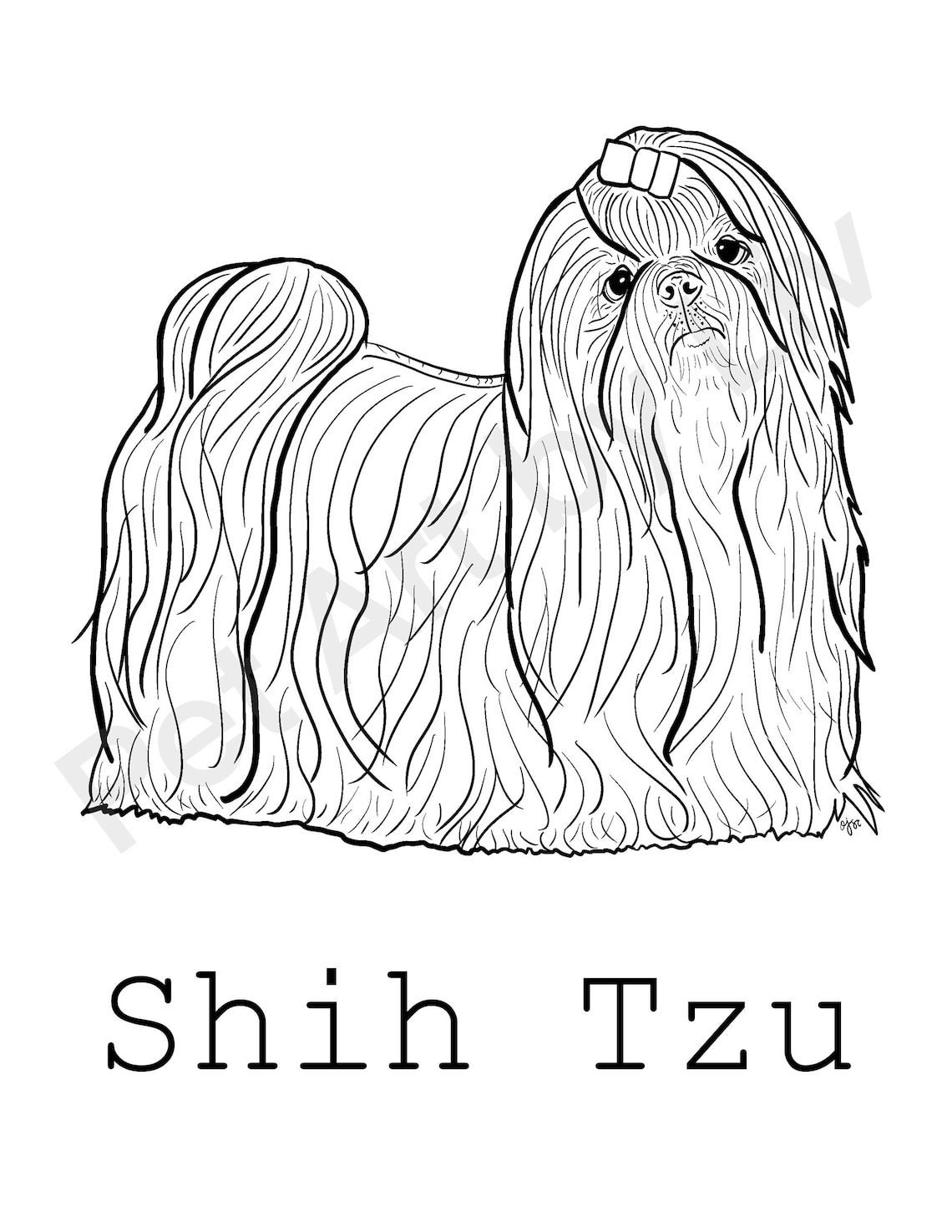 Shih Tzu Coloring Page - Etsy