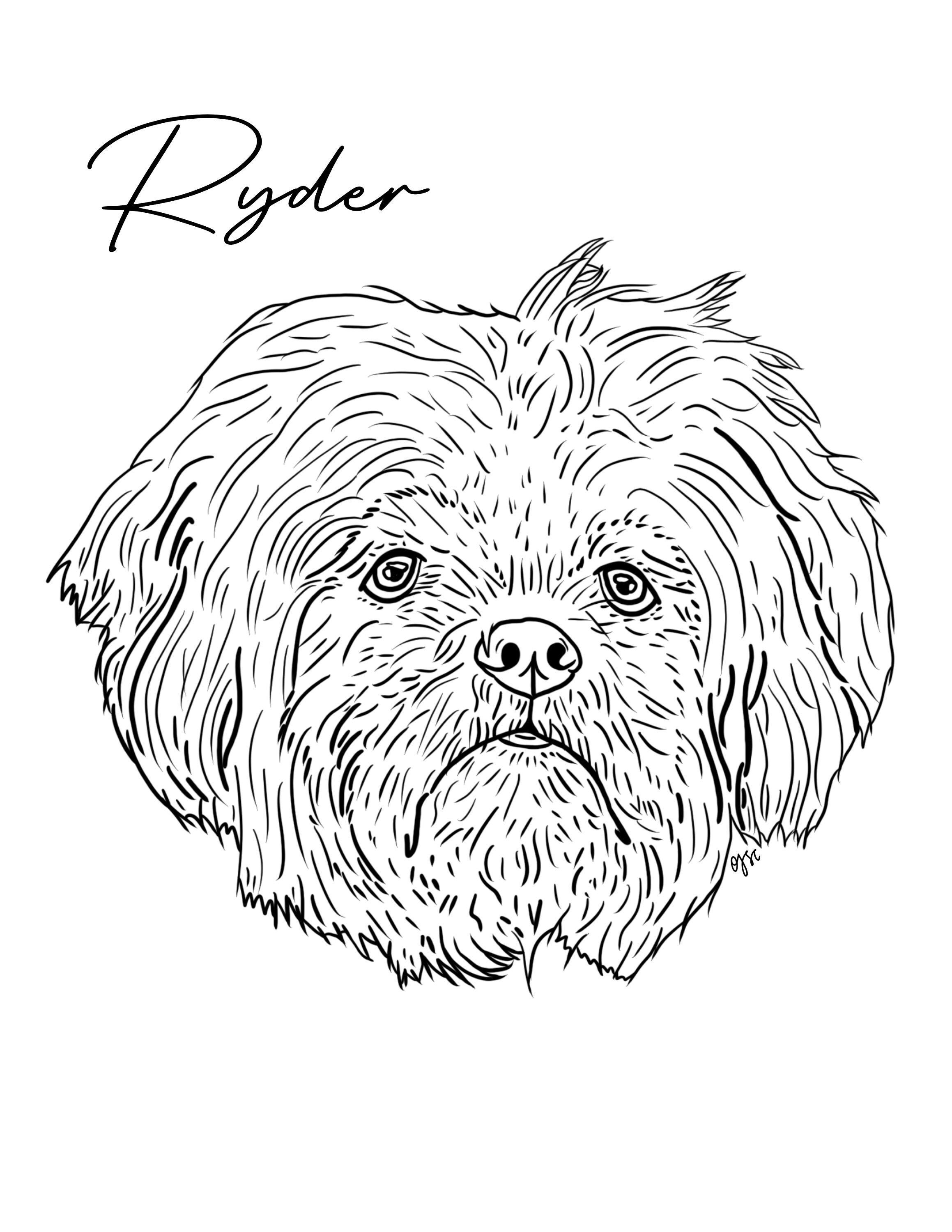 Custom Pet Coloring Page - Etsy
