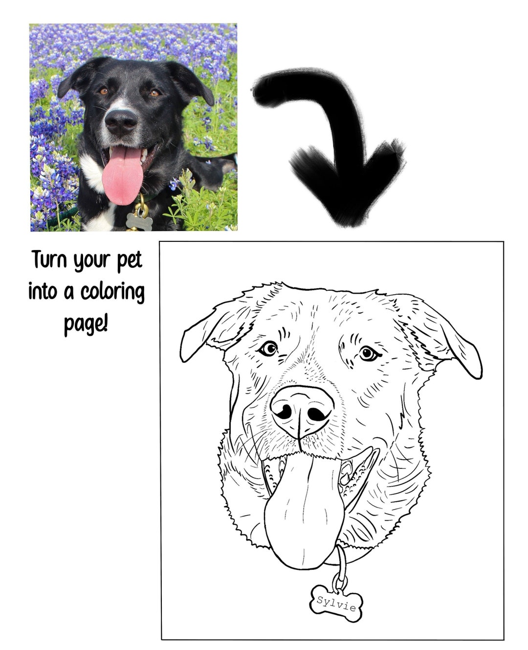 Custom Pet Coloring Page - Etsy